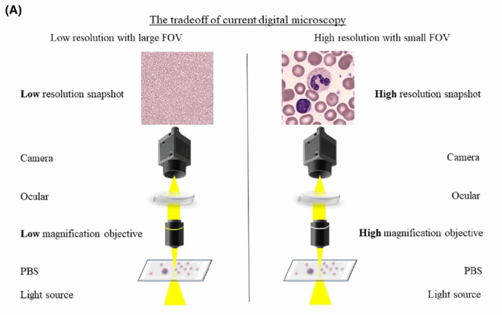 How Does Digital Morphology Help in Hematology Diagnosis? | Scopio Labs